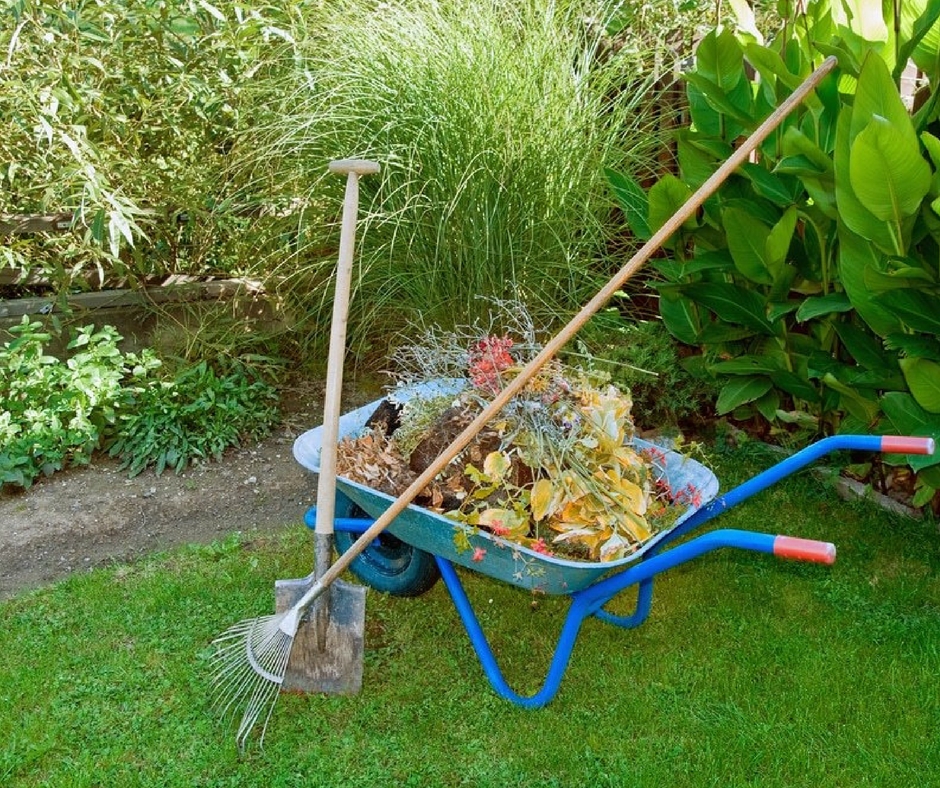 Tips for Spring Cleaning Your Yard & Garden | Delaware